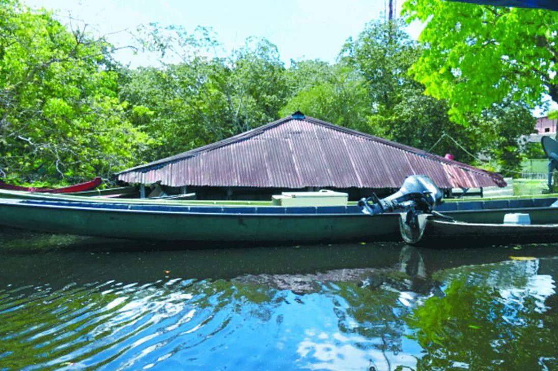 Estas son las imágenes que deja la grave inundación en Guanía | EL ...
