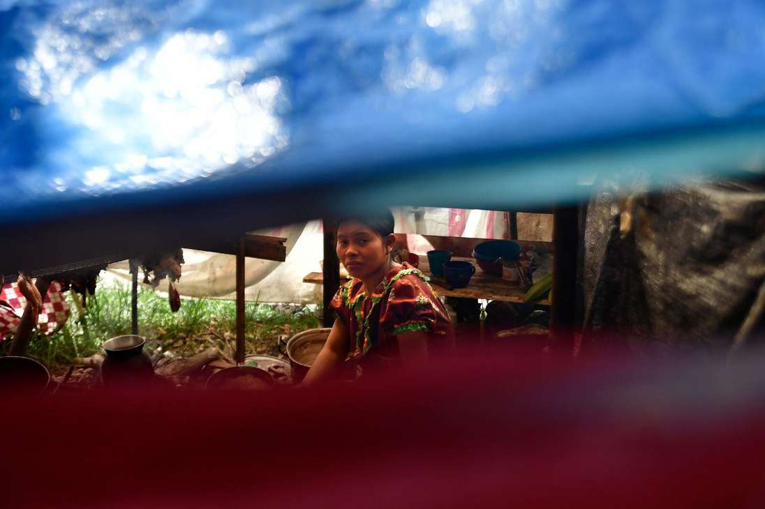 En imágenes: Así es la vida de los emberá katío asentados en el Parque ...