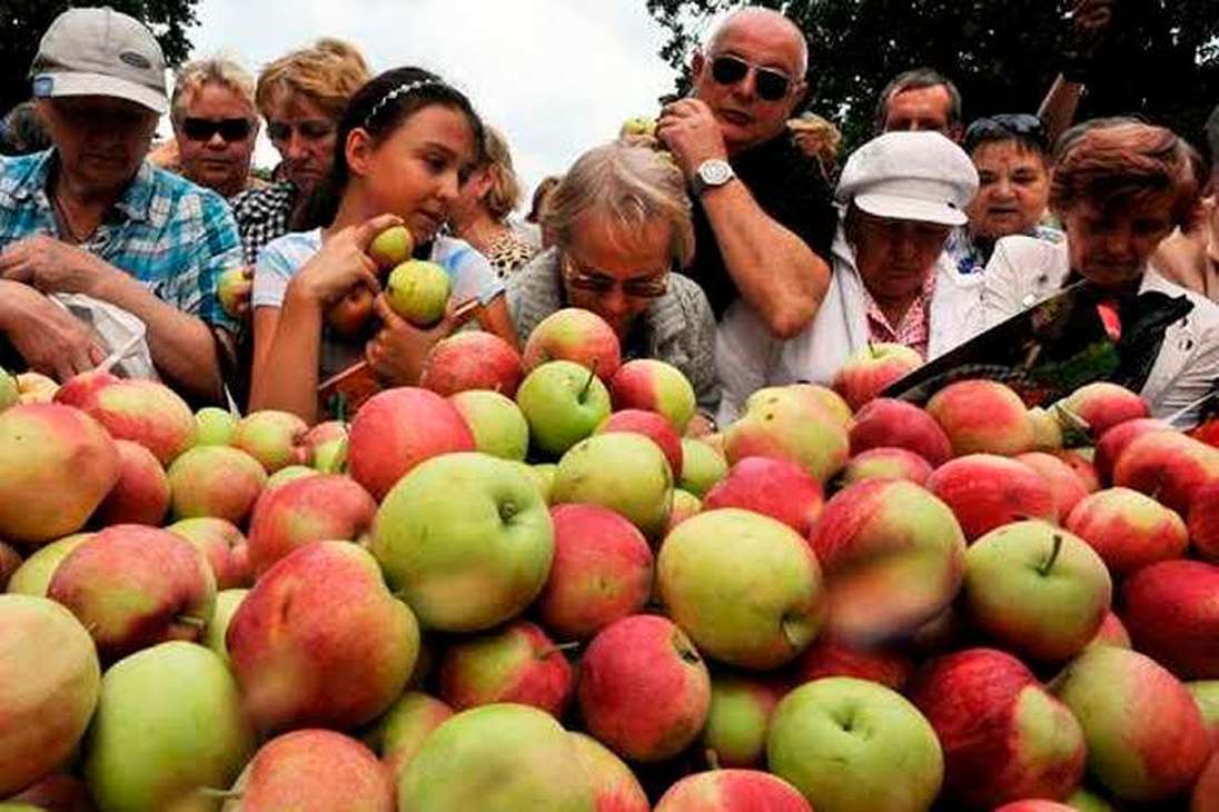 15 datos curiosos del mundo que quizá no conocía | EL ESPECTADOR