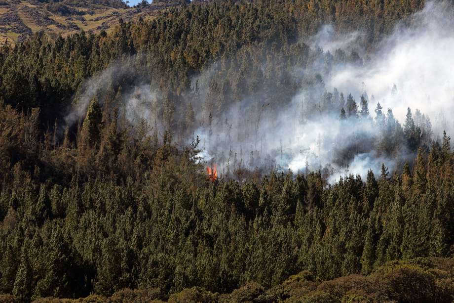 Colombia amanece con 31 incendios forestales activos. Gobierno ...