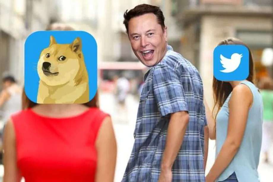 Elon Musk cambió el logo de Twitter, ahora es Doge, ¿por qué? | EL ...
