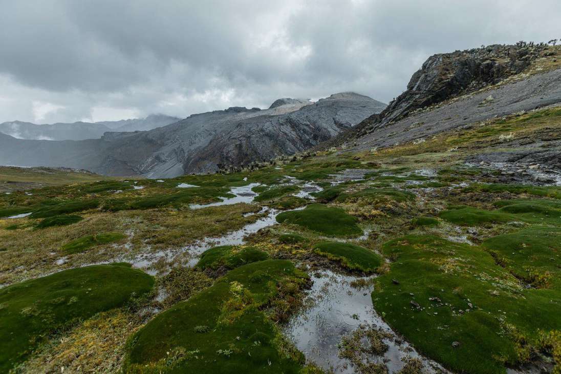 En fotos: “Páramos, el país de las nieblas”: recorrido por estos ...