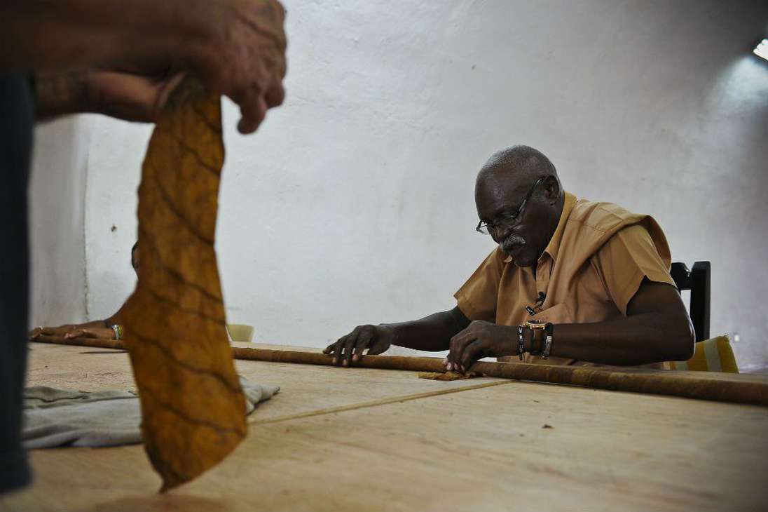 El puro más grande del mundo es cubano y honra los 90 años de Fidel ...