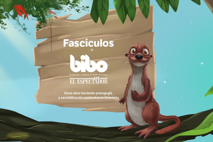 Fascículos Bibo | El Espectador | EL ESPECTADOR