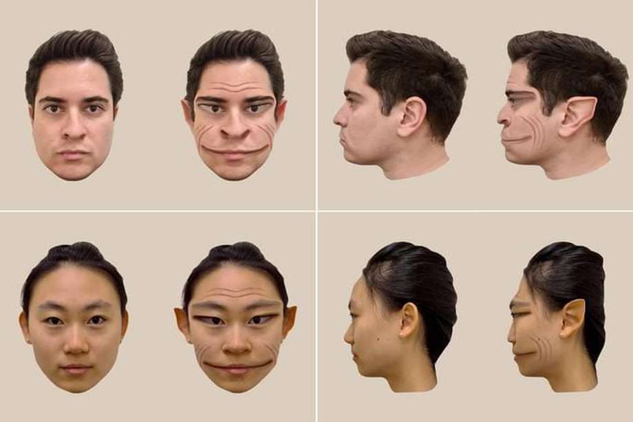 Así verían las caras las personas con esta extraña condición de salud ...