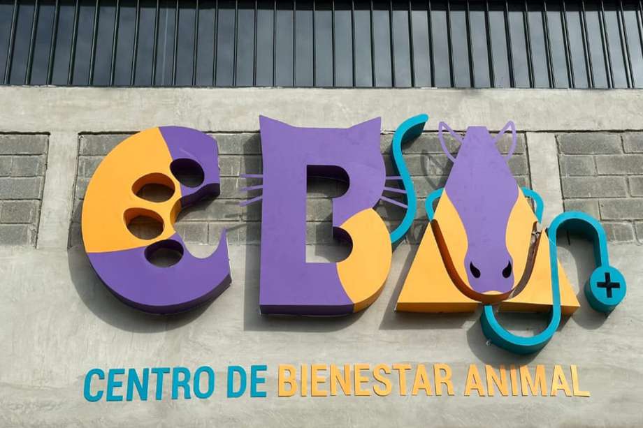 Centro de Bienestar Animal de Cali responde a denuncias por presunta ...