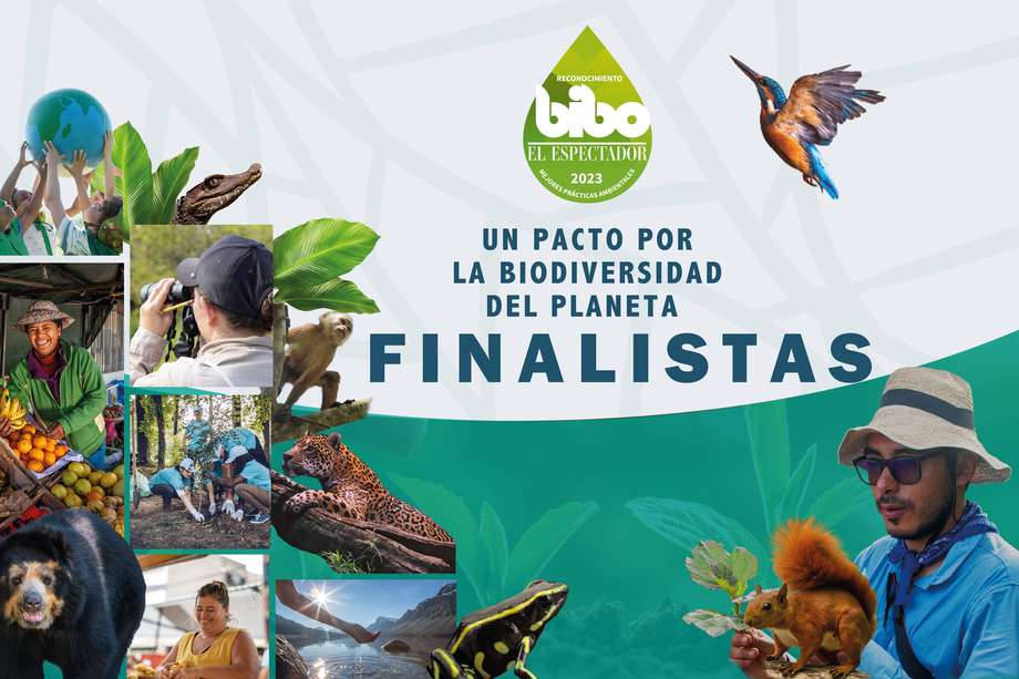 Estos son los mejores proyectos ambientales, finalistas del Premio BIBO ...
