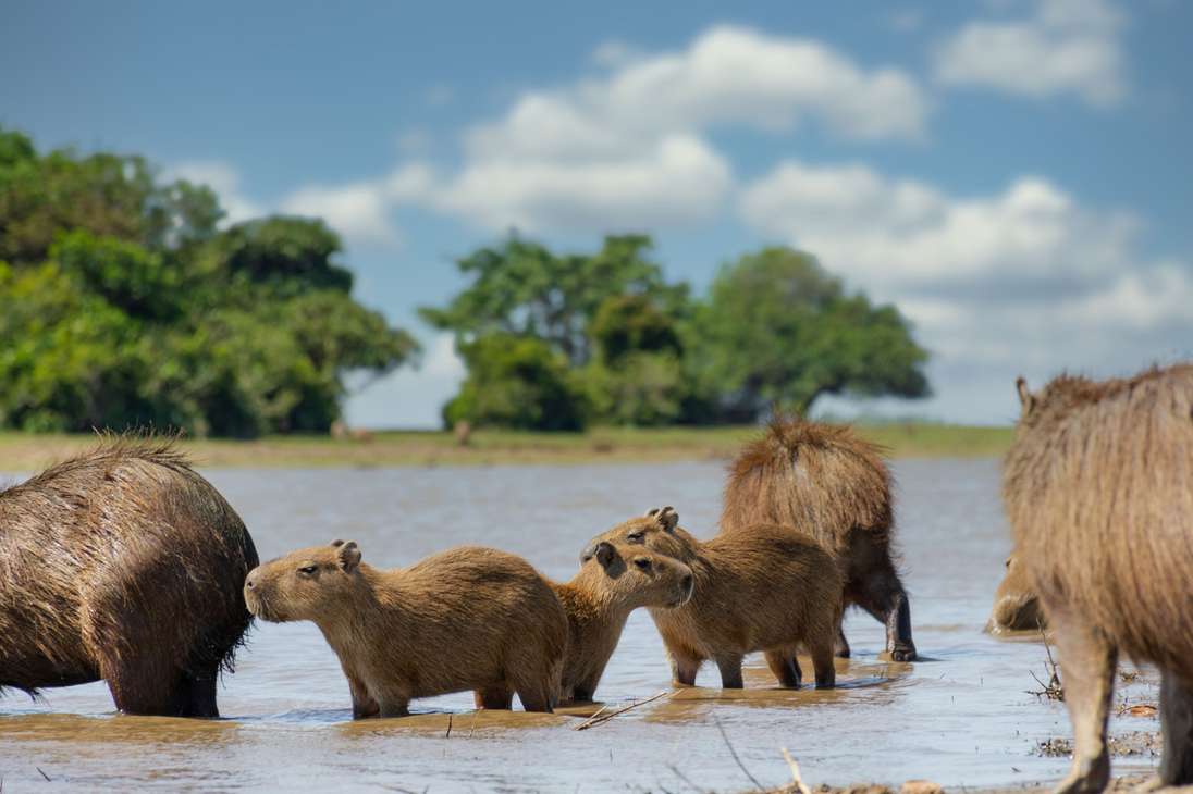 Casanare, uno de los 52 lugares para amar en 2021 | EL ESPECTADOR