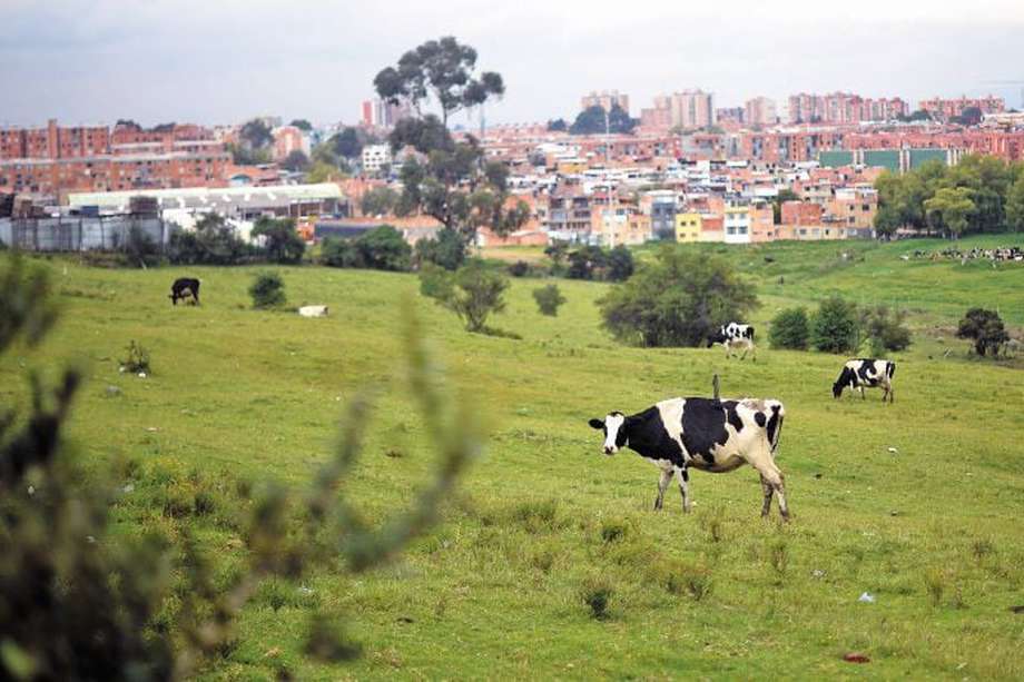 Por qué importa la decisión de intervenir la Van der Hammen para ...