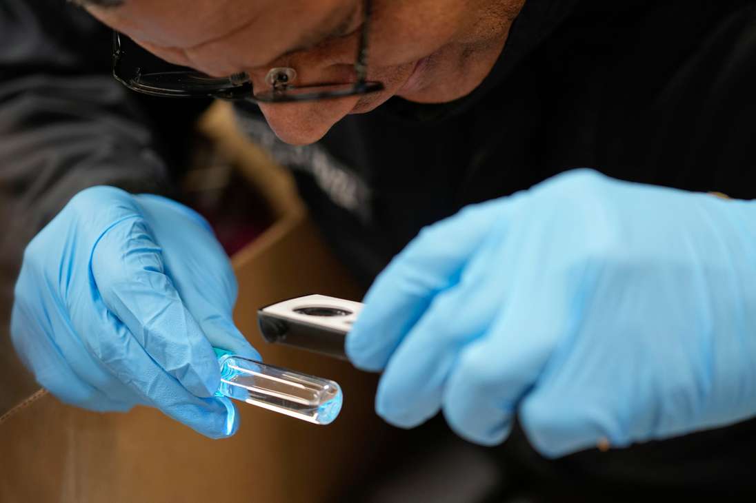 Así termina el control de las flores que se envían de Colombia a EE. UU ...