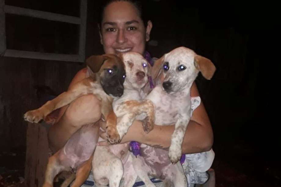 Salvando Huellitas: una segunda oportunidad para los animales en ...