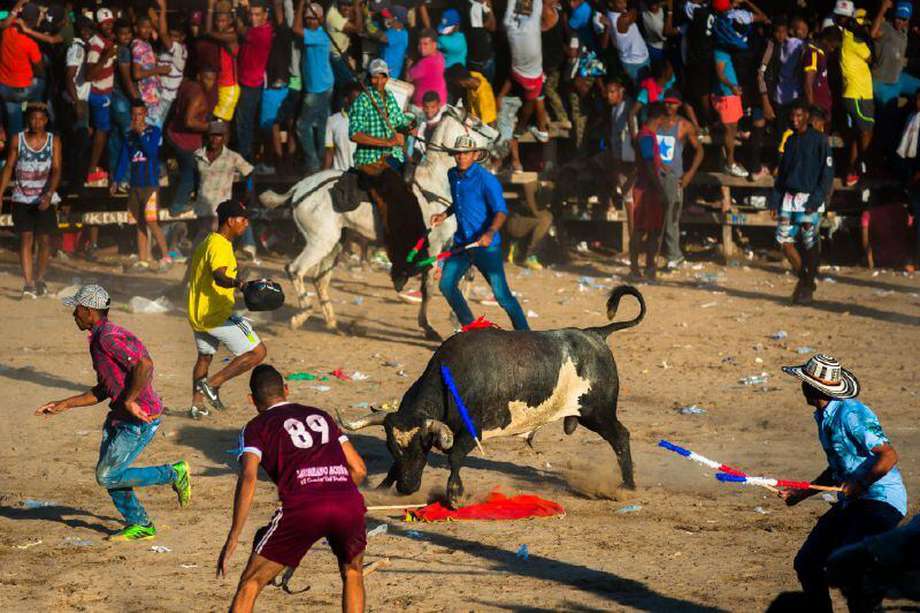 Las corralejas, una expresión cultural amparada por la ley | EL ESPECTADOR