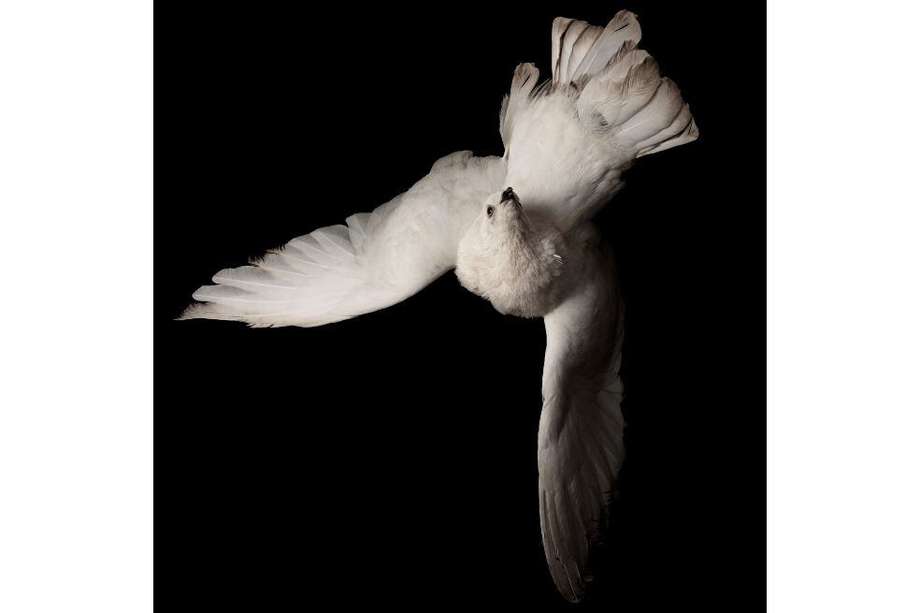 Ruby Rumié: Cómo despertar el espíritu humano exposición de arte ...