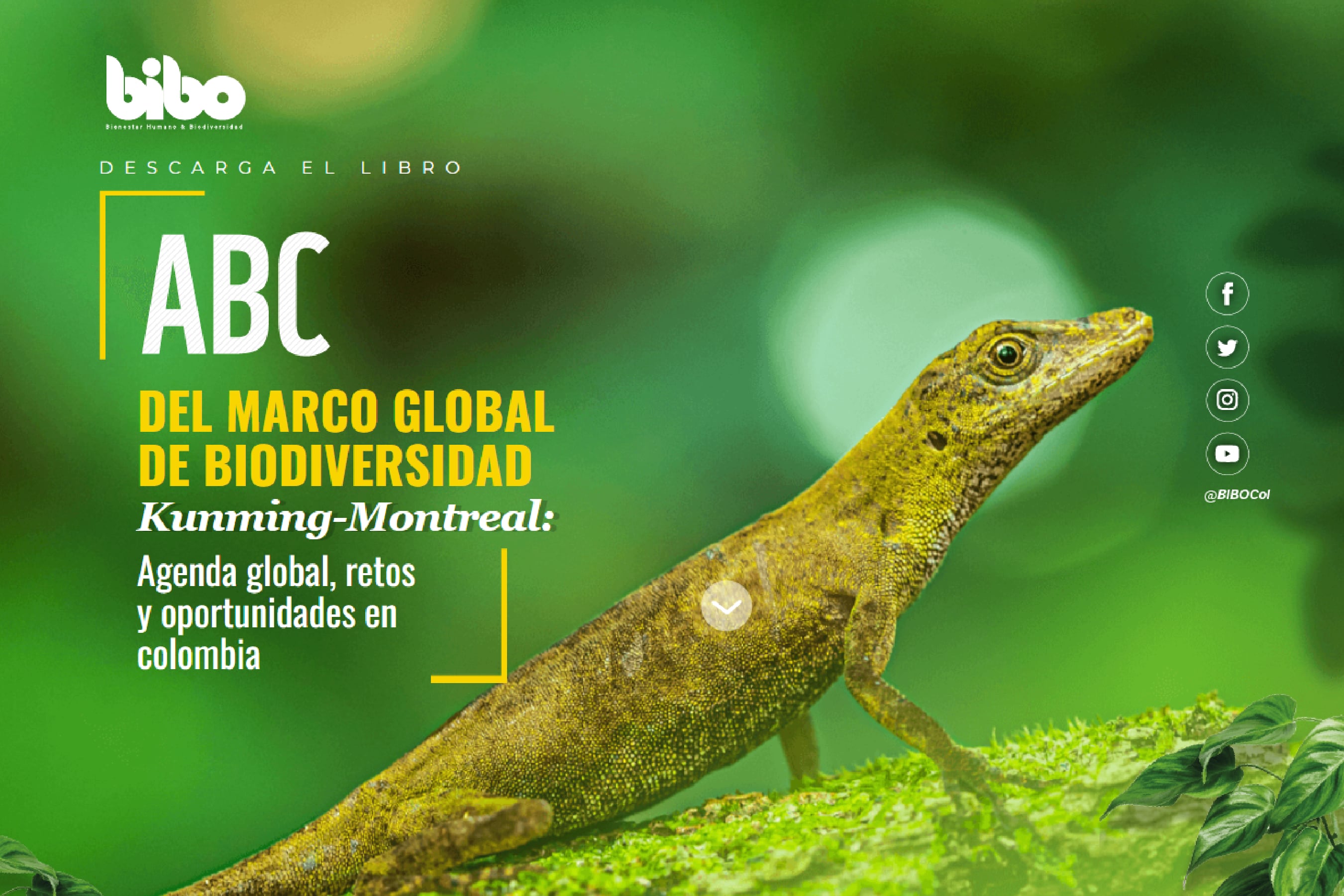 ABC del marco global de biodiversidad | EL ESPECTADOR
