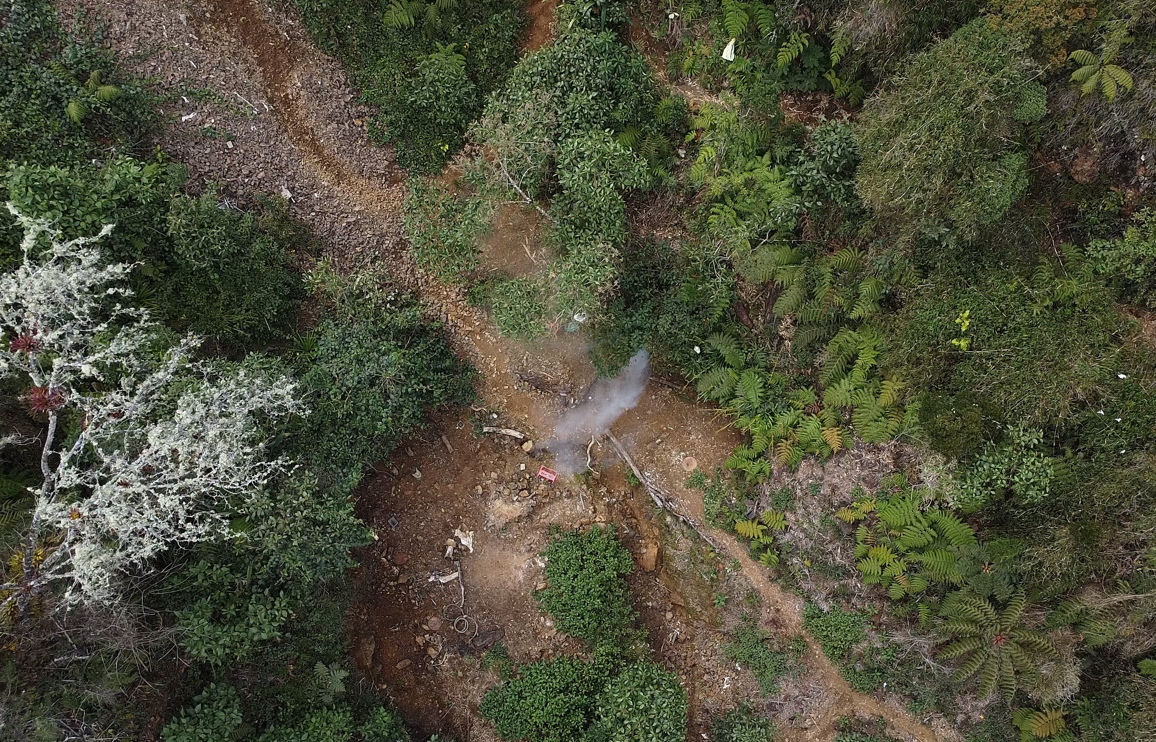 Man faces charges for illegal gold mining and mercury use in Farallones ...